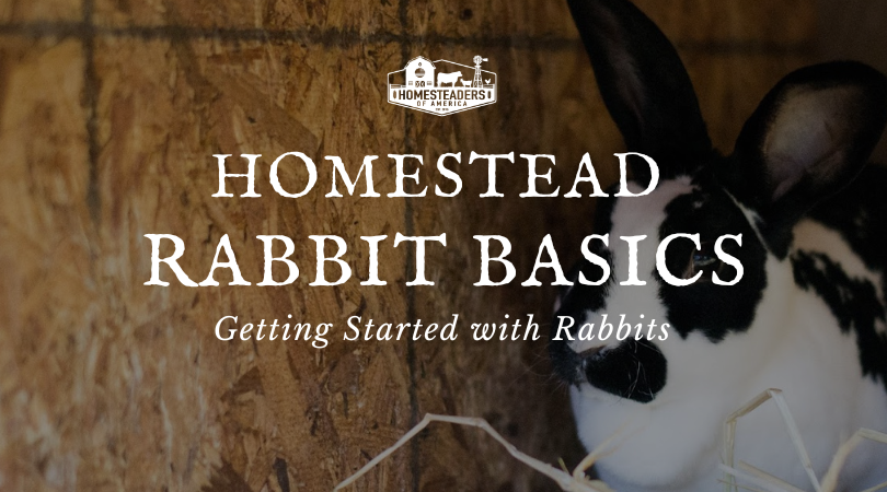 Homestead Rabbit Basics - Homesteaders of America