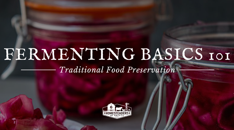 Fermenting Basics 101 Featured Image - Homesteaders of America