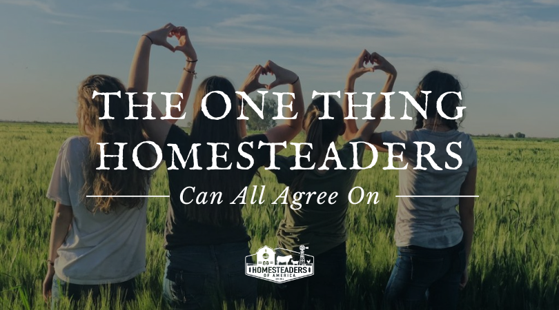 The ONE Thing Homesteaders Can All Agree On - Homesteaders of America