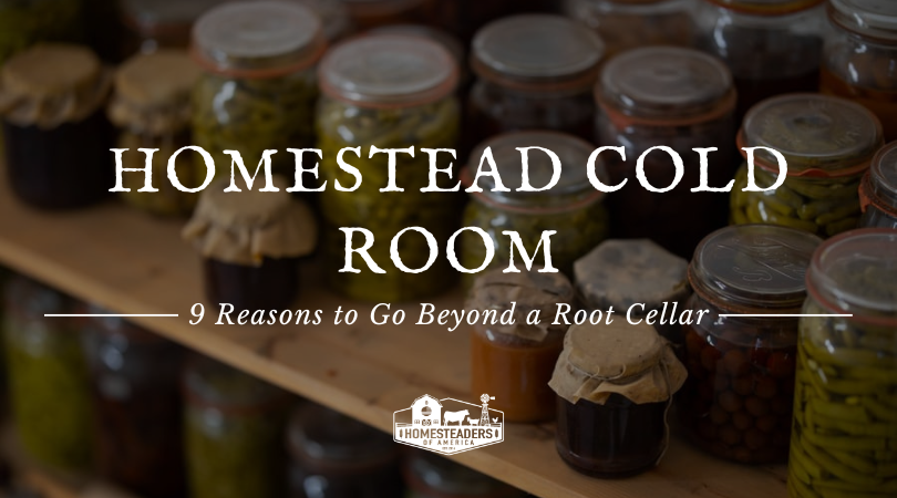 Homestead Cold Room: 9 Reasons to Go Beyond a Root Cellar ...