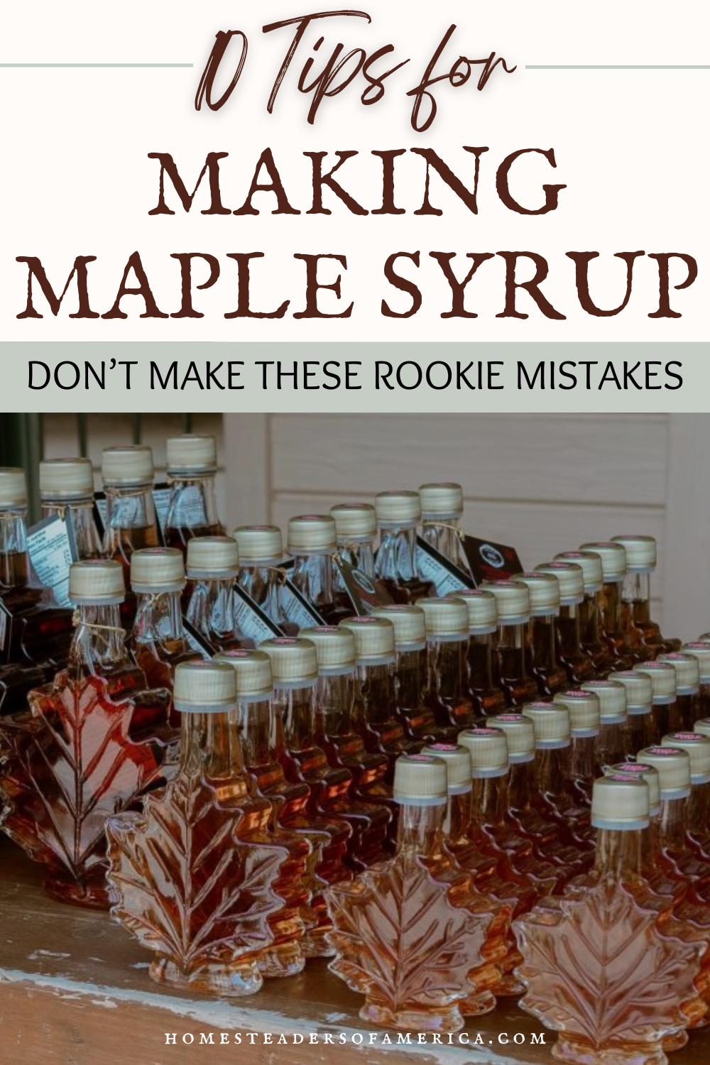 10 Maple Syrup Tips for Rookies - Homesteaders of America