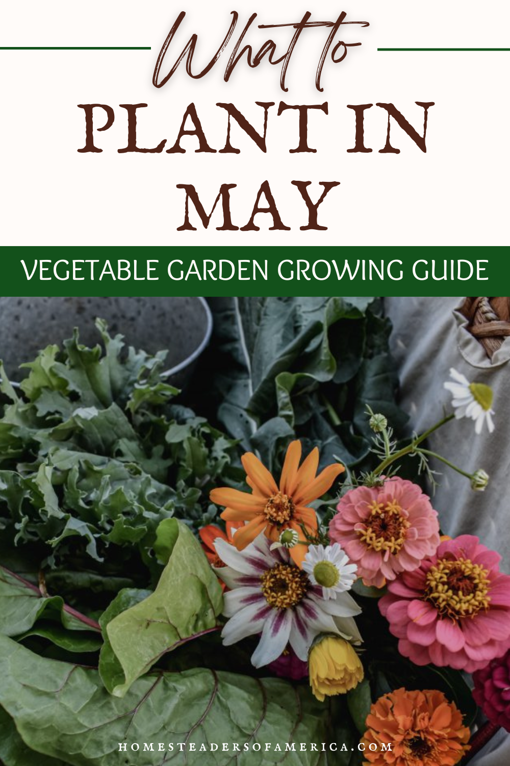What to Plant in May: Vegetable Garden Growing Guide - Homesteaders of ...