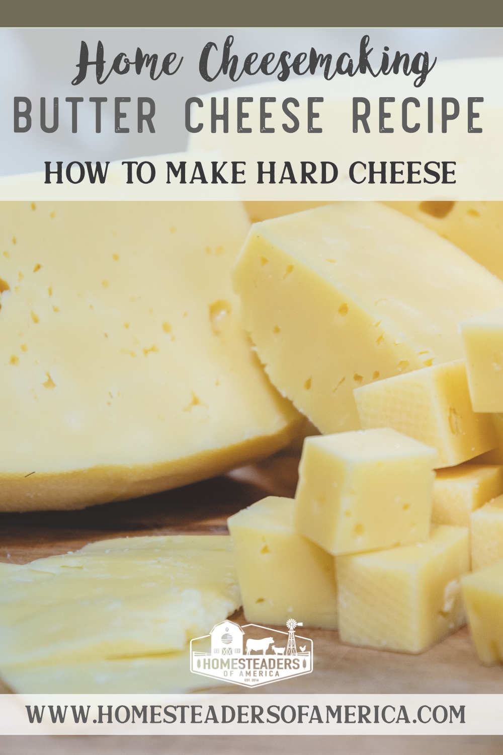 How to Make Butter Cheese (Butterkase) - Homesteaders of America