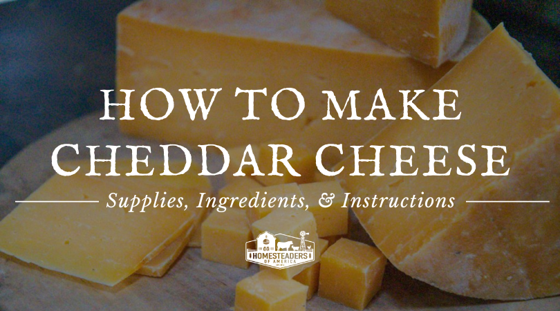 How to Make Cheddar Cheese - Homesteaders of America