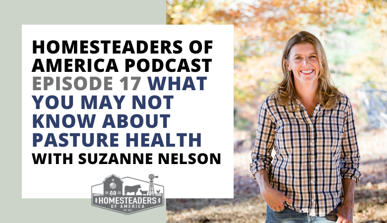 E17: What You May Not Know About Pasture Health | Suzanne Nelson of ...