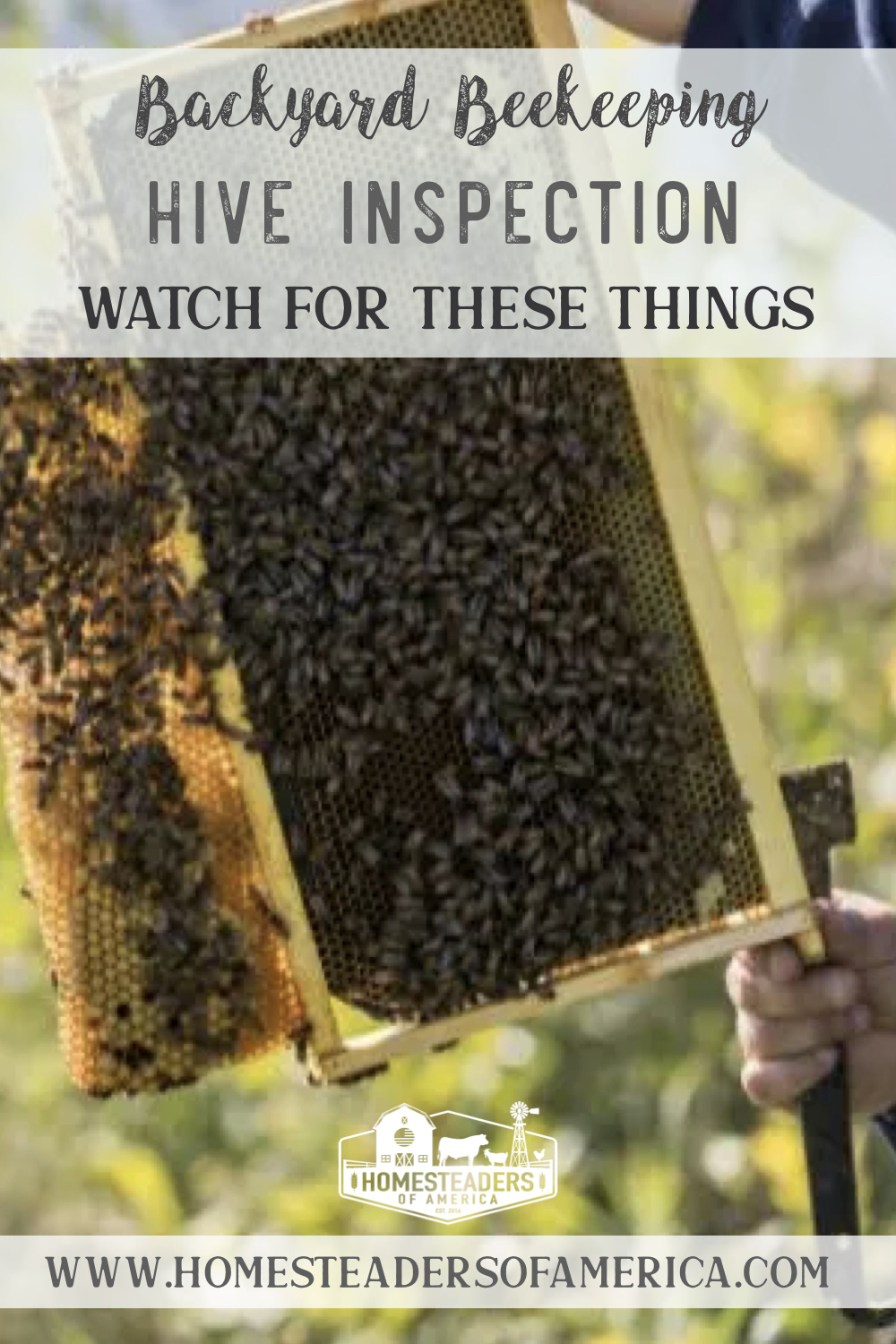 Hive-Inspection-.001 - Homesteaders of America