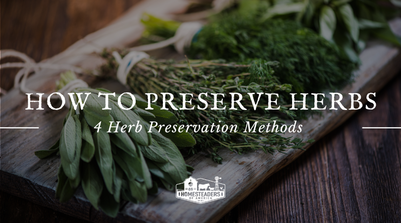 How to Preserve Herbs: 4 Herb Preservation Methods - Homesteaders of ...