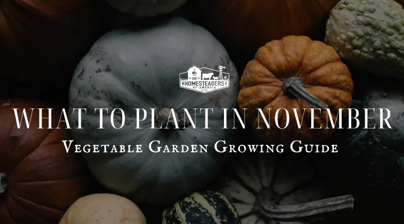 What to Plant in November: Vegetable Garden Growing Guide ...