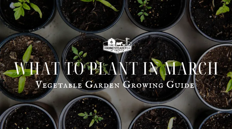 What to Plant in March: Vegetable Garden Growing Guide - Homesteaders ...