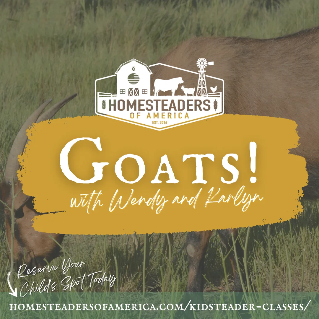 Kidsteader Class:: Goats! - Homesteaders of America