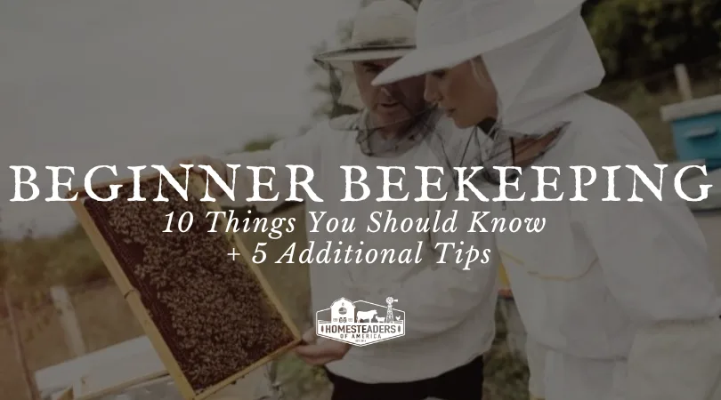 Beginner Beekeeper? Here are 10 Things You Should Know - Homesteaders ...